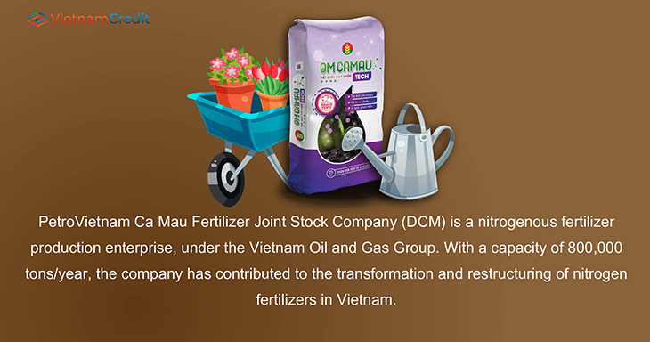 Top 5 listed fertilizer companies in Vietnam
