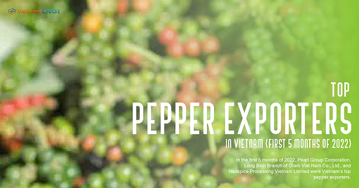 Top pepper exporters in Vietnam (First 5 months of 2022)