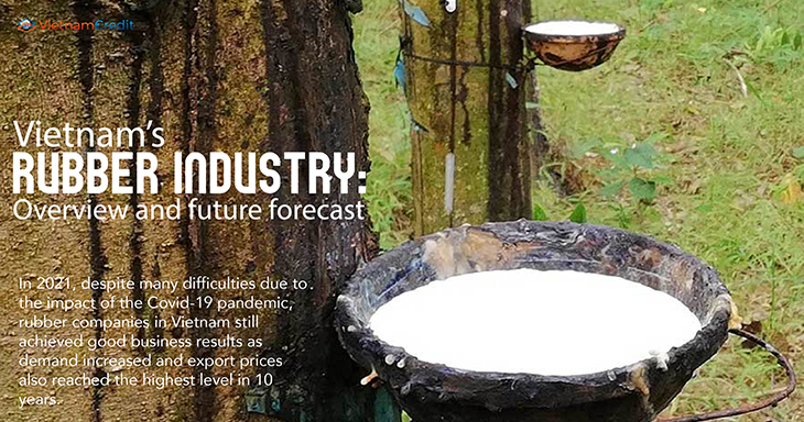 Vietnam’s rubber industry: overview and future forecast
